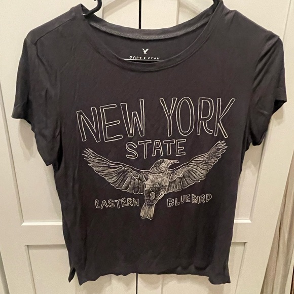 American Eagle Outfitters | Tops | American Eagle Soft And Sexy New York Crop Top | Poshmark